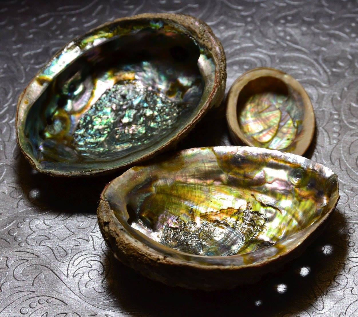 Shells & Smudge Pots – Moon Dragon